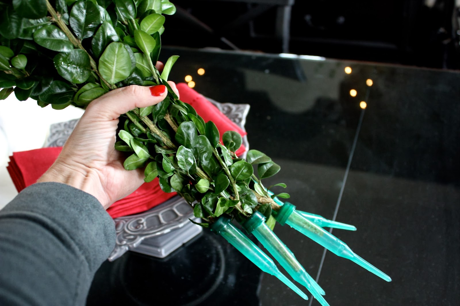 The Yellow Cape Cod: Boxwood Tree Tutorial~How To Keep Real Green ...