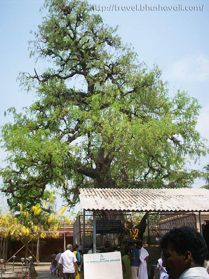 Day-Trip to Kodumudi temples & Muthur Soliswarar Temple (Erode - Tamil ...