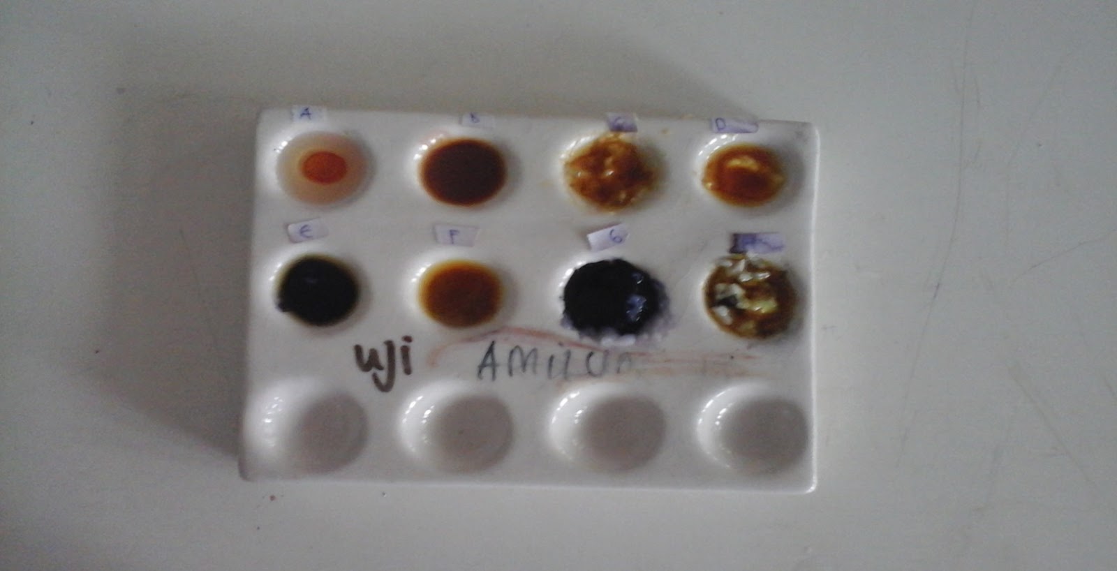 Laporan Praktikum Biologi || UJI ZAT MAKANAN