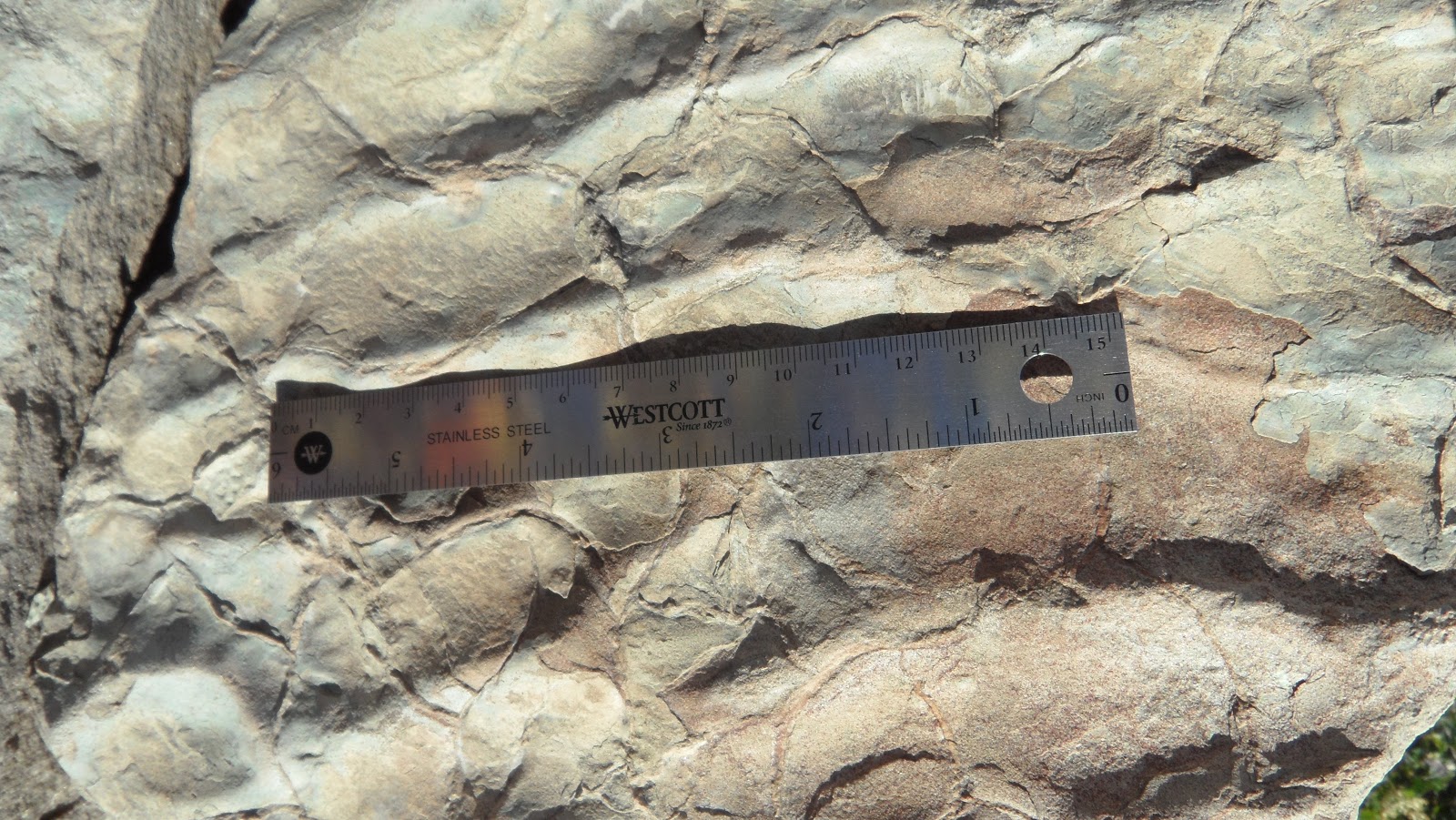 Fossils and Geology of Lanark County, Ontario: Fossil Ripple Marks in ...