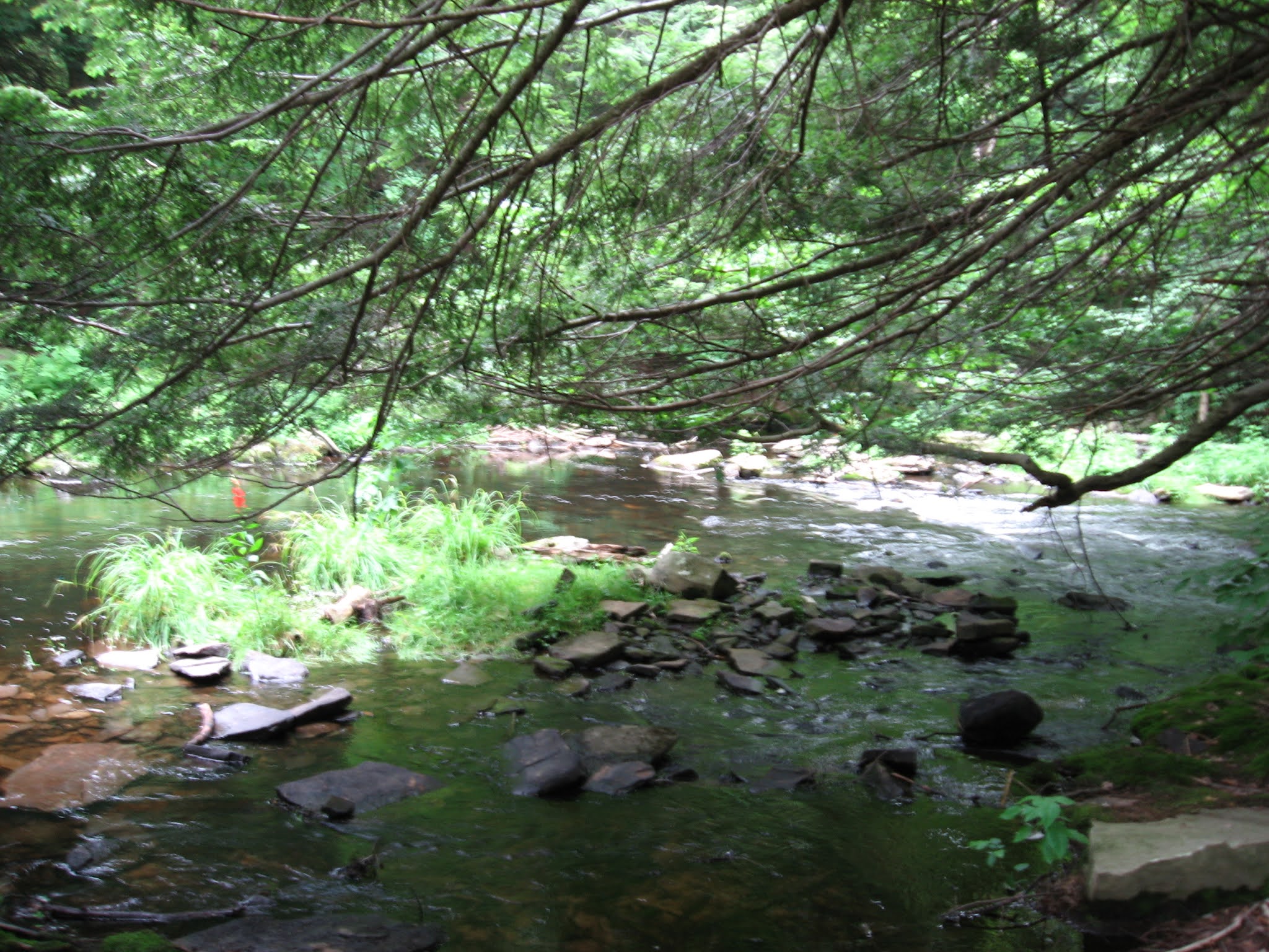 Exploring Promised Land State Park in the Poconos | Interesting ...