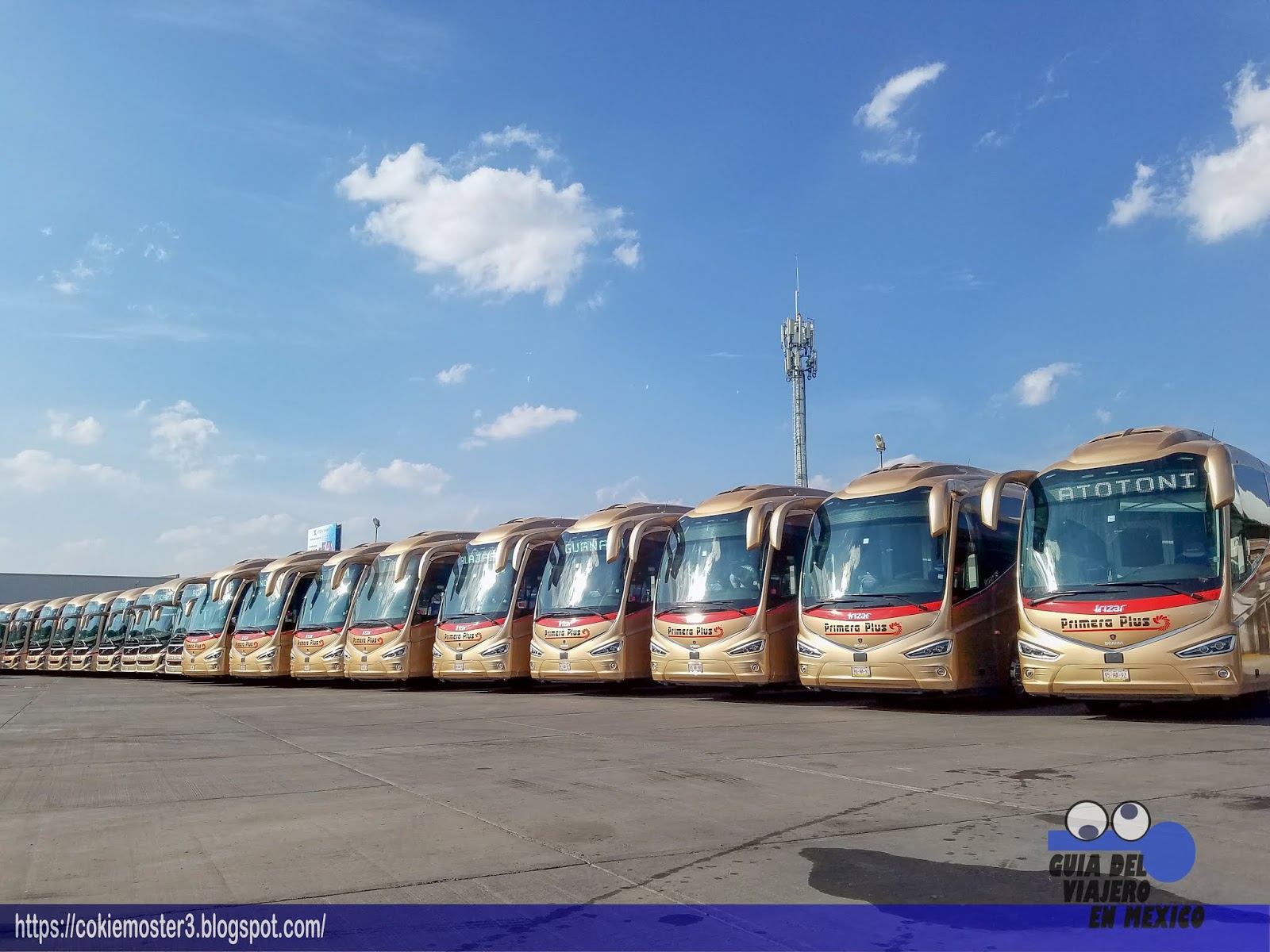 Así luce un conjunto de Busitos juntos
