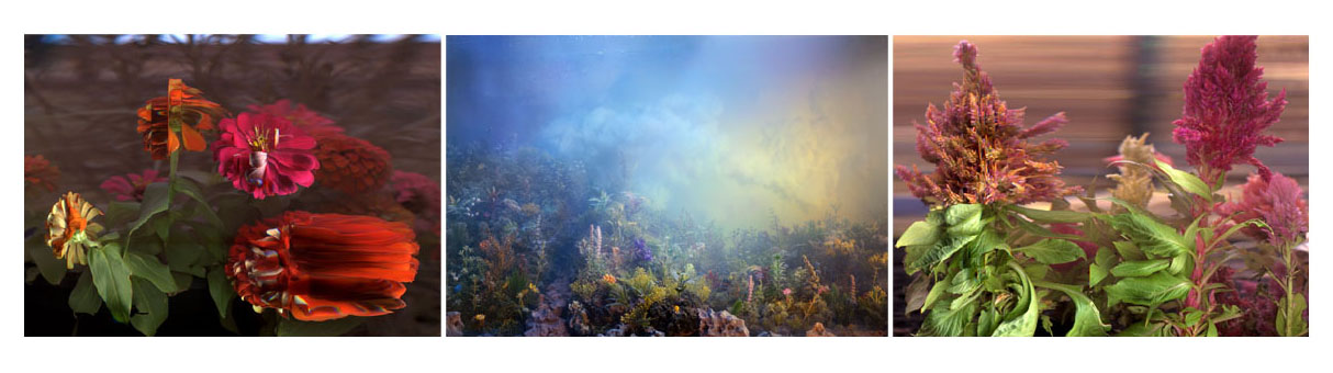 Photo Gallerino: IN THE WATER I AM BEAUTIFUL • Kim Keever & Bruce ...
