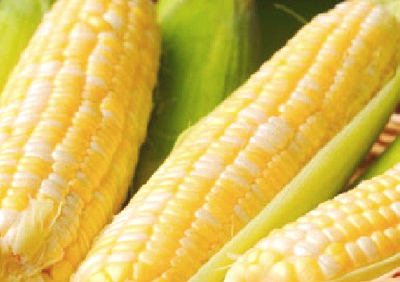13 Benefits and Efficacy Corn For Health Body