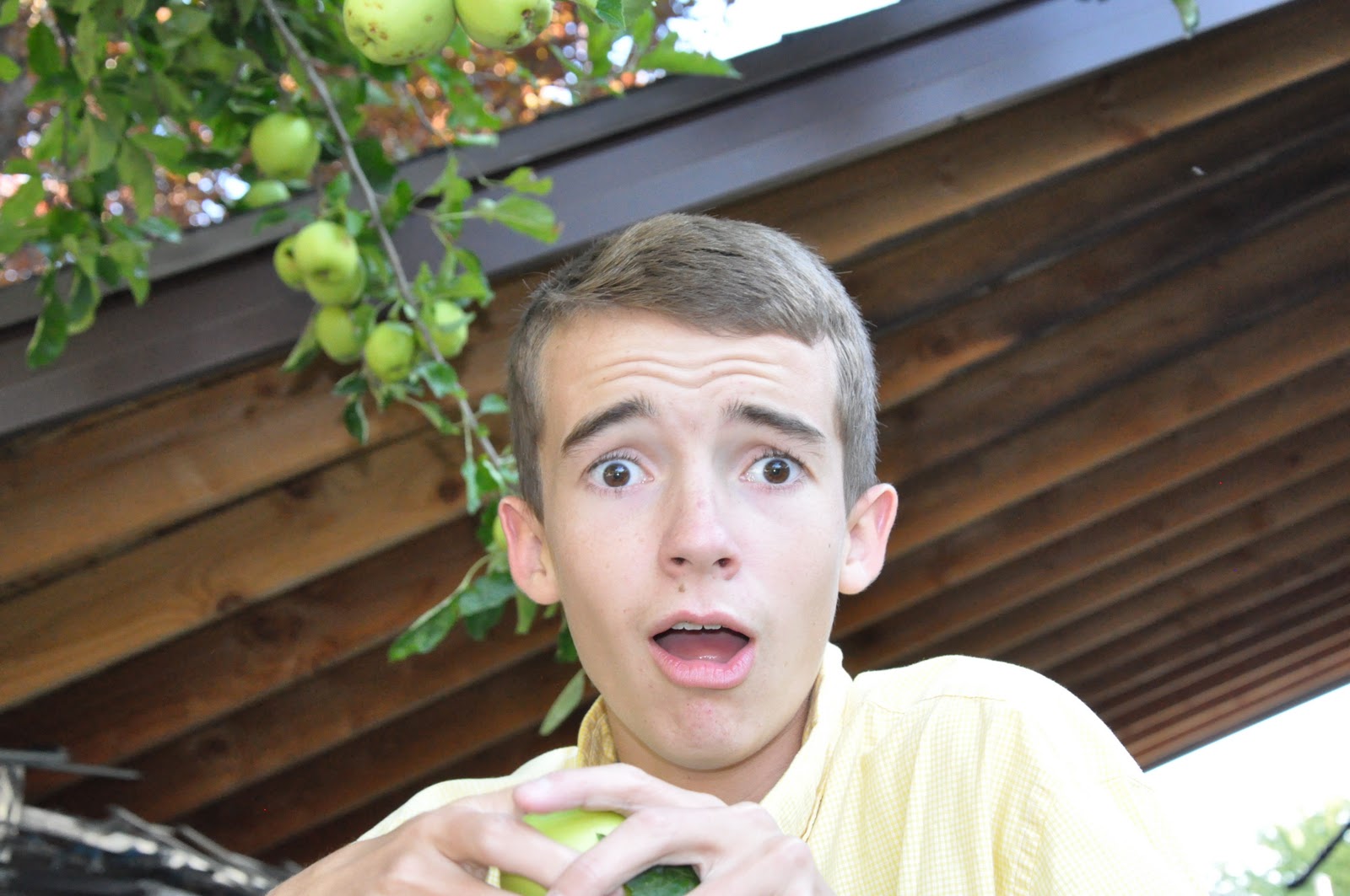 Apropos & Co: Erik is My Hero Part II