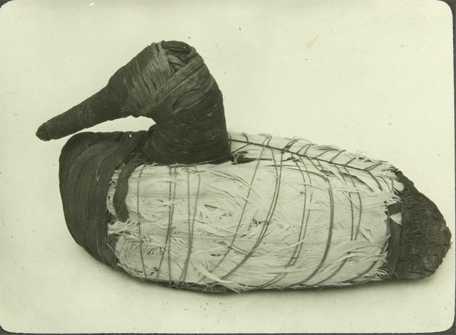 The Myths and History of Red Hair: Si-Te-Cah: a tribe of red-haired ...