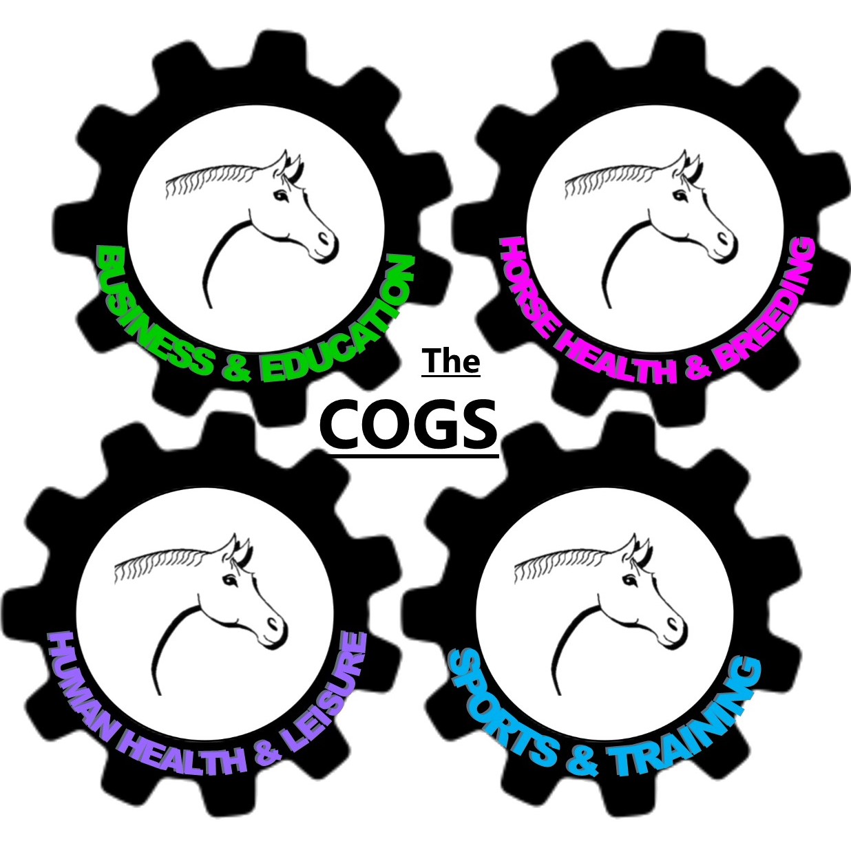 The Australian Horse Industry: The COGS