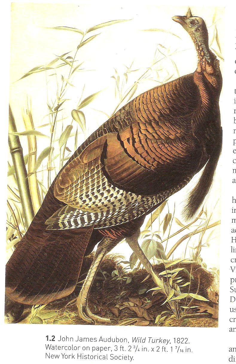 Famous Art: "Wild Turkey" by John James Audubon 1822