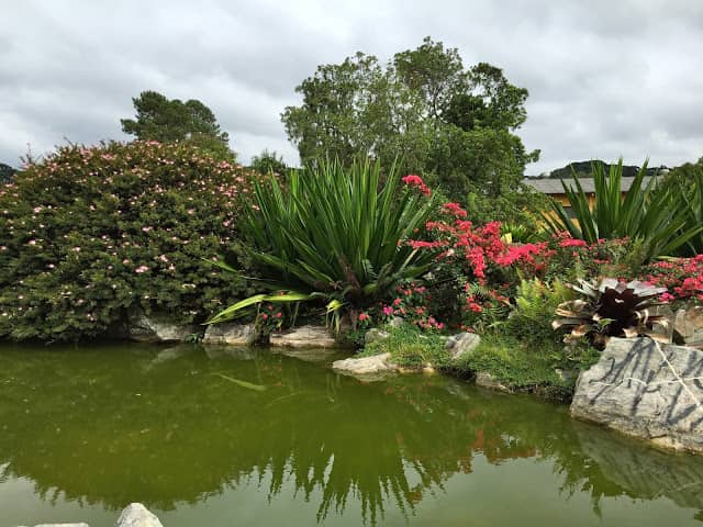 Parque Barigui em Curitiba ~ Áreas Verdes das Cidades - Guia de Parques