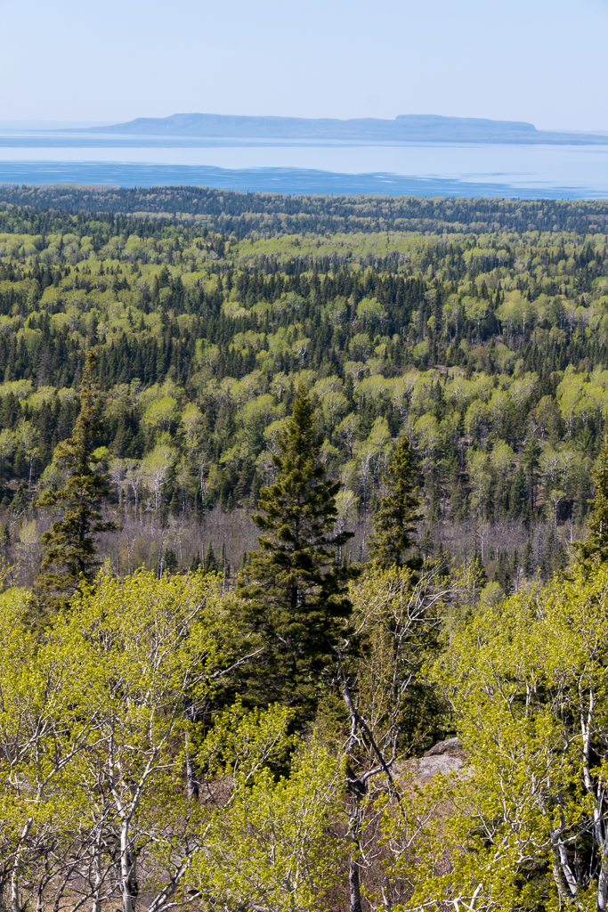 Cliffs and Ruins: Isle Royale 2019, Day 3: Moskey Basin to Daisy Farm ...