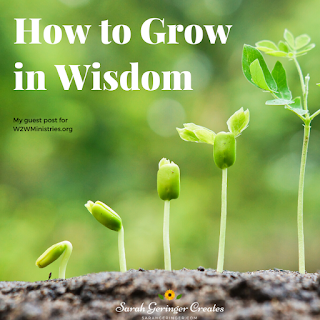 Woman to Woman: How to Grow in Wisdom