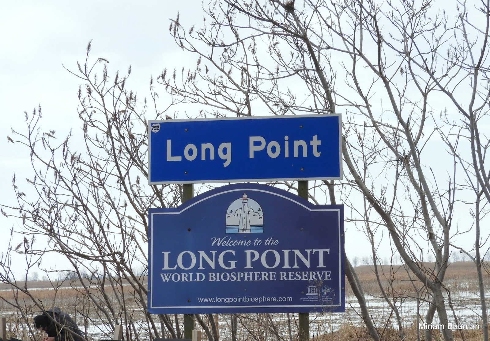 Visit to Long Point, ON - Travels With Birds