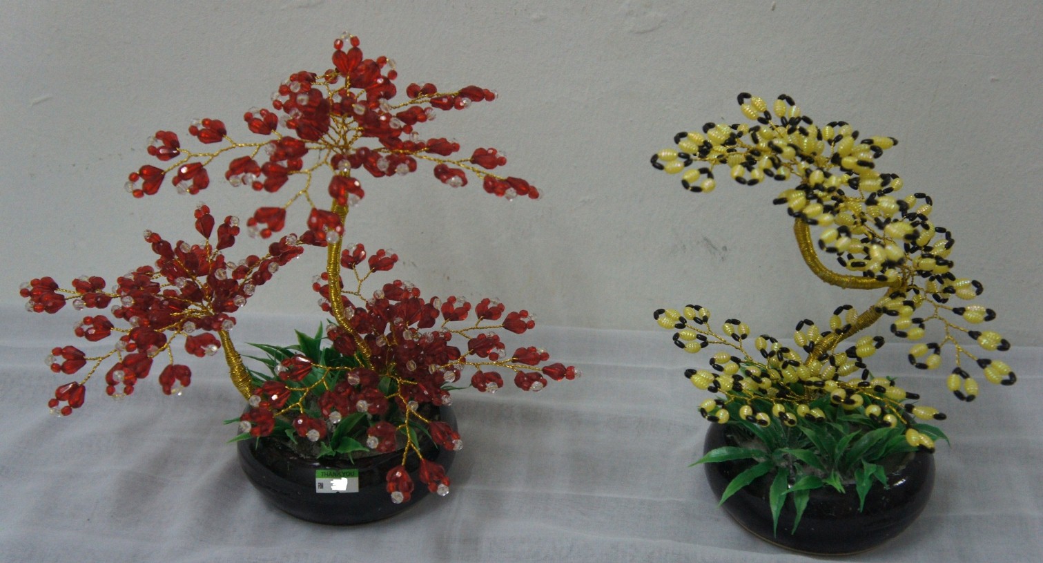 BEAUTY-PUTRI: Bonsai Manik