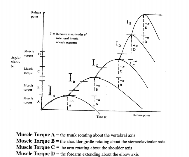 HLPE3531: American Football Forward Pass : Force summation