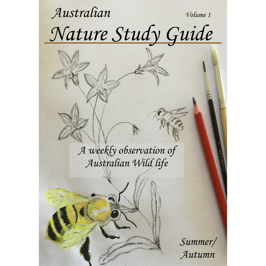 Every Bed of Roses: Australian Nature Study Guide Volume 1 Review