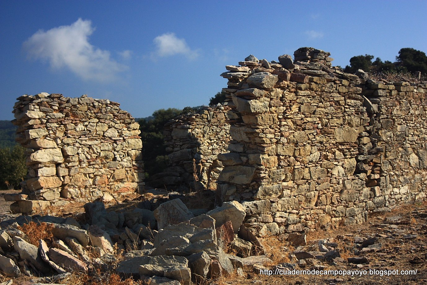 Cuaderno de Campo Payoyo: La escuela de Barrida