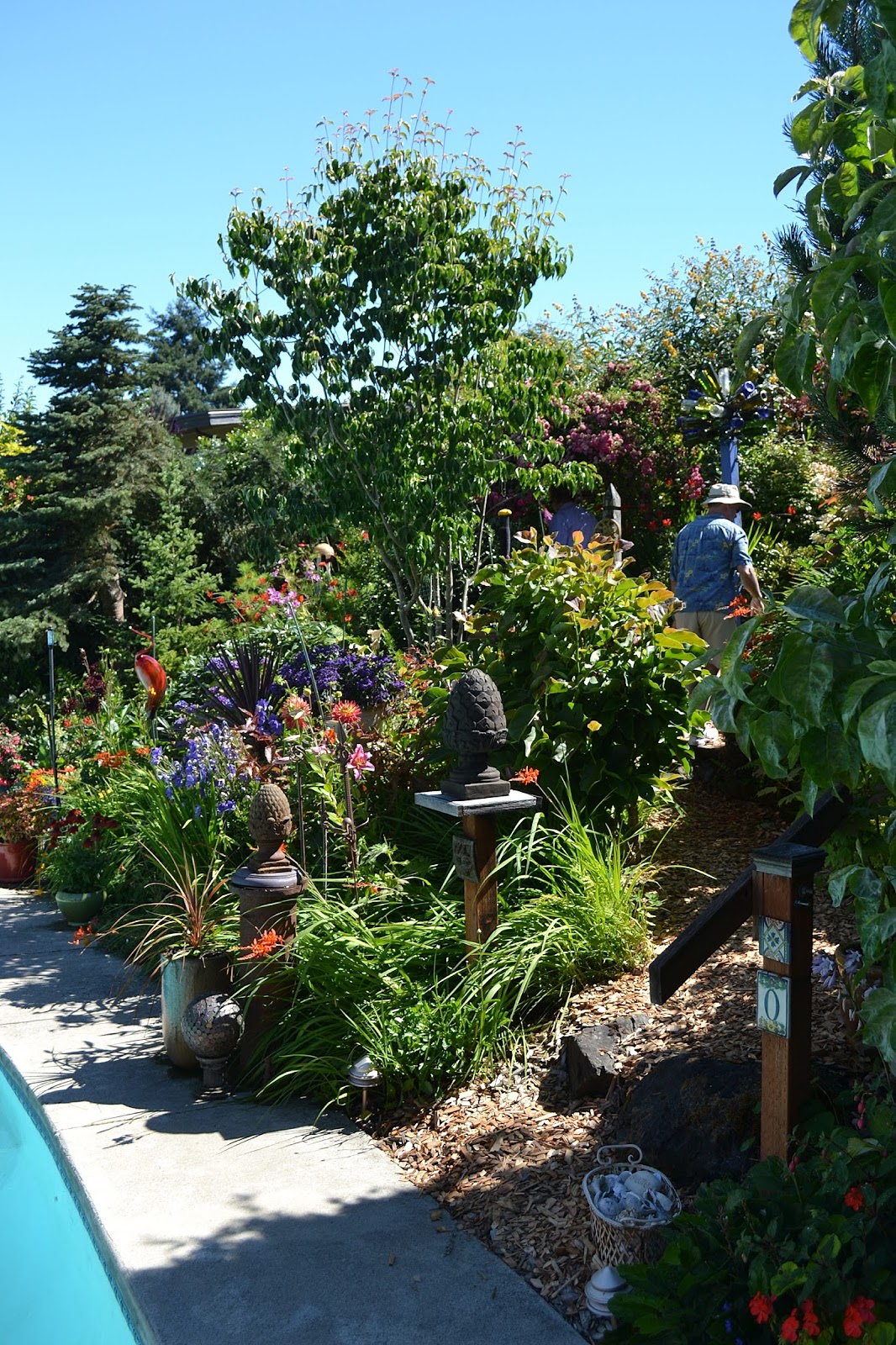 The Outlaw Gardener: The Garden of George Shriver and Omar Watson