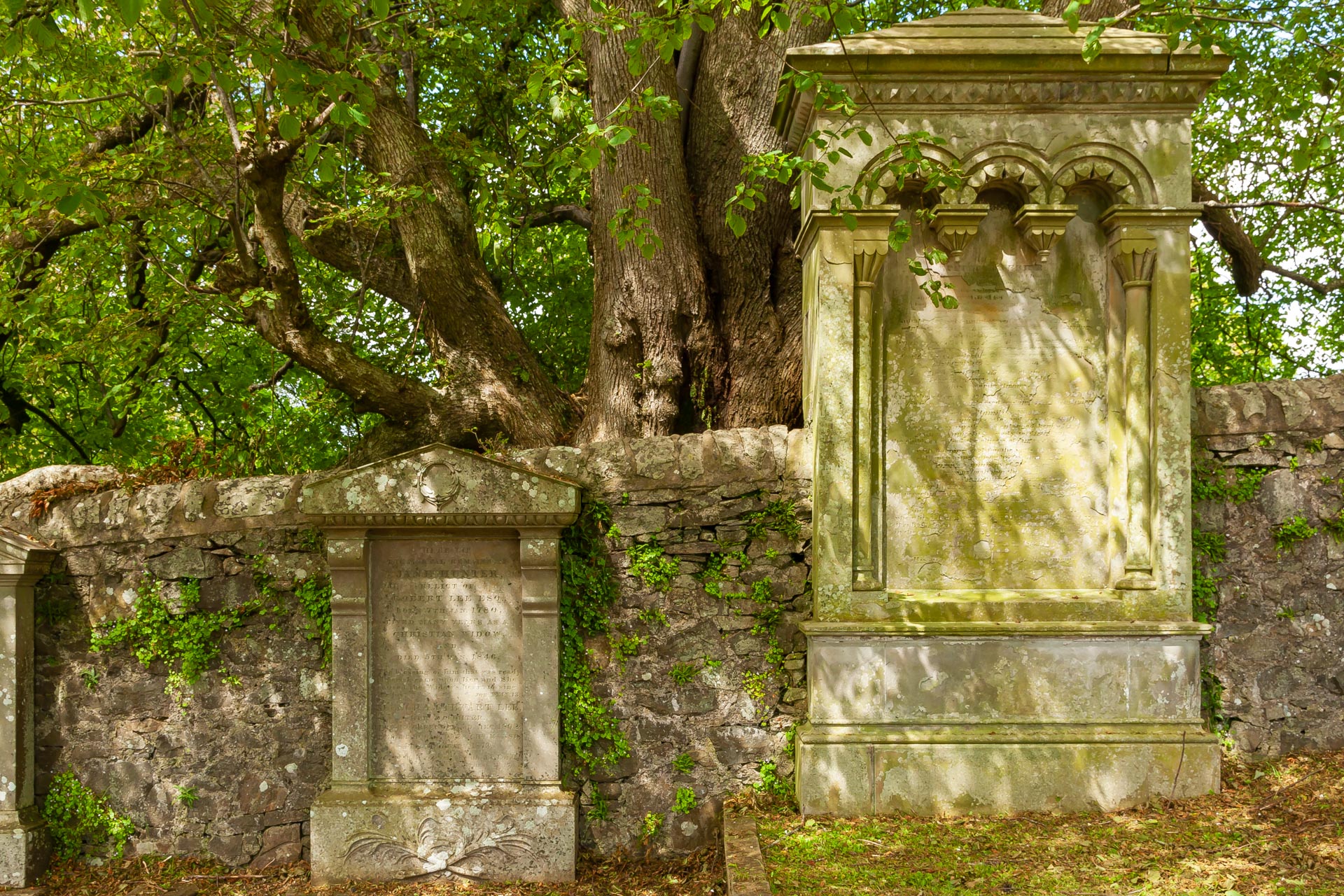 Beans' Triumph TR7 Blog: June 2011