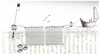 Jaring Milenium ~ Budaya