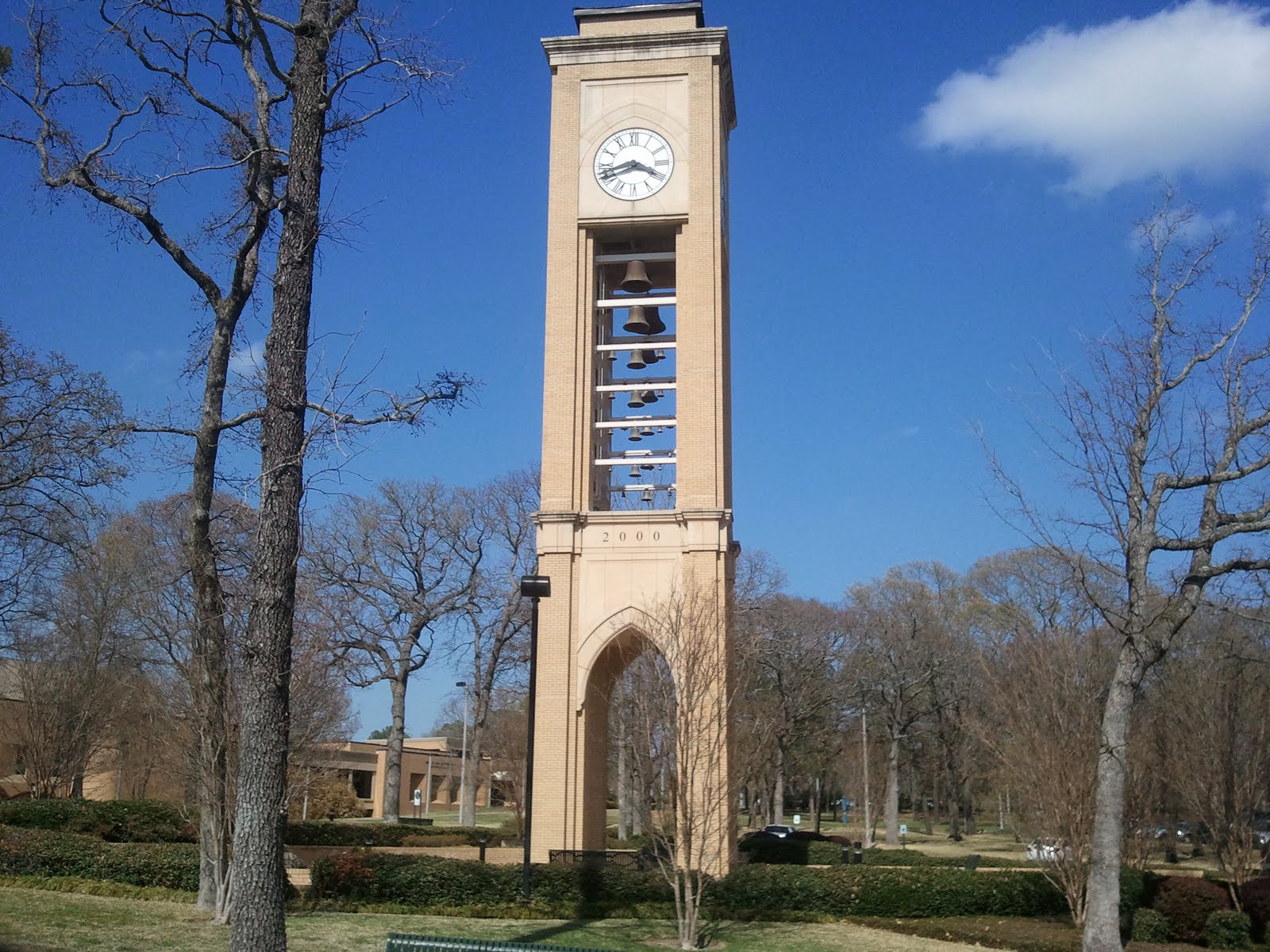 The UT Tyler Student Blog: A Primary Symbol in UT Tyler