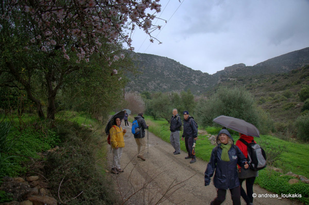 EXPLORE MOUNTAINS: ΠΕΖΟΠΟΡΙΑ ΜΕΣΕΛΕΡΟΙ - ΜΟΝΗ ΒΡΥΩΜΕΝΟΥ