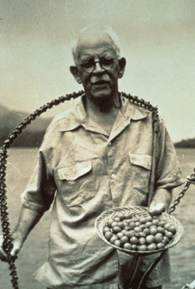 La extraña pareja: Fairchild, un explorador de lo vegetal.