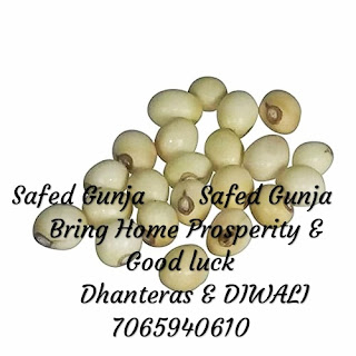 Rosary Pea Safed Gunja is Costliest Seed 7065940610