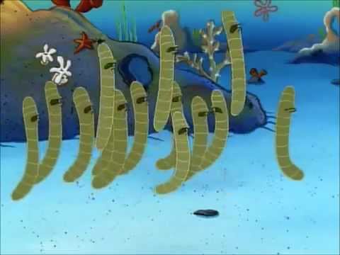 Mengenal Nematoda, Hewan Parasit di Serial Spongebob Squarepants ...