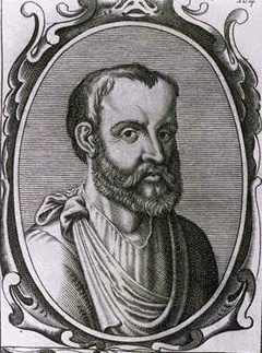 Labdanum or ladanum of Cistus Incanus Creticu / Cistus Incanus Tea from ...