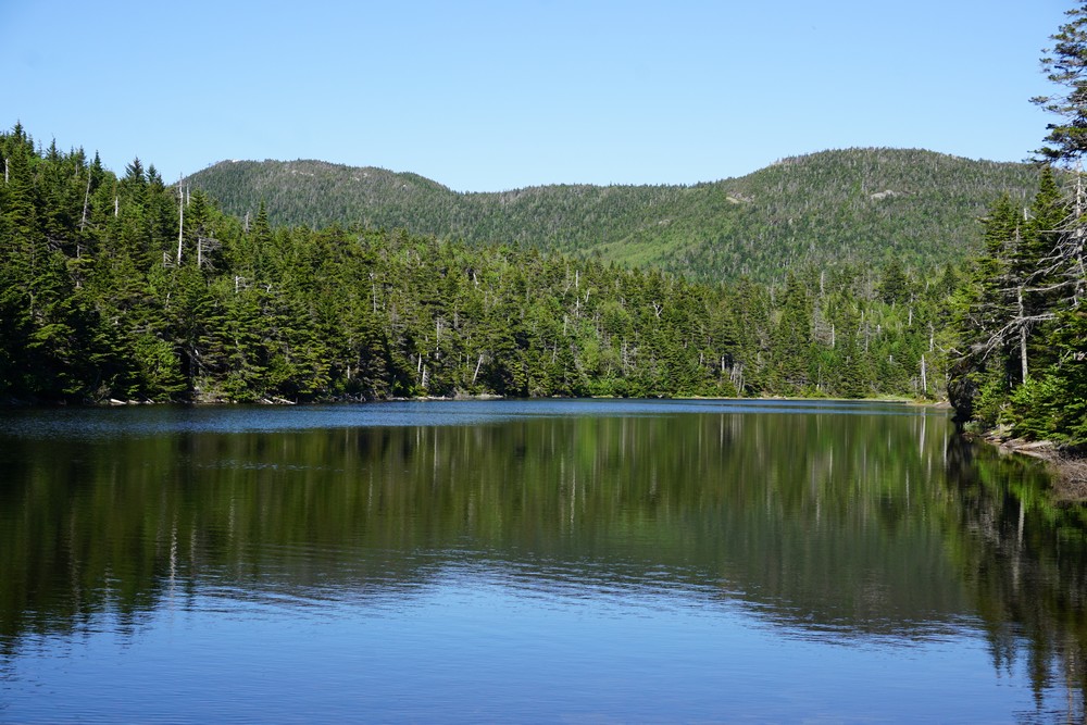 Harriman Hiker: Harriman State Park and Beyond: Sterling Pond ...