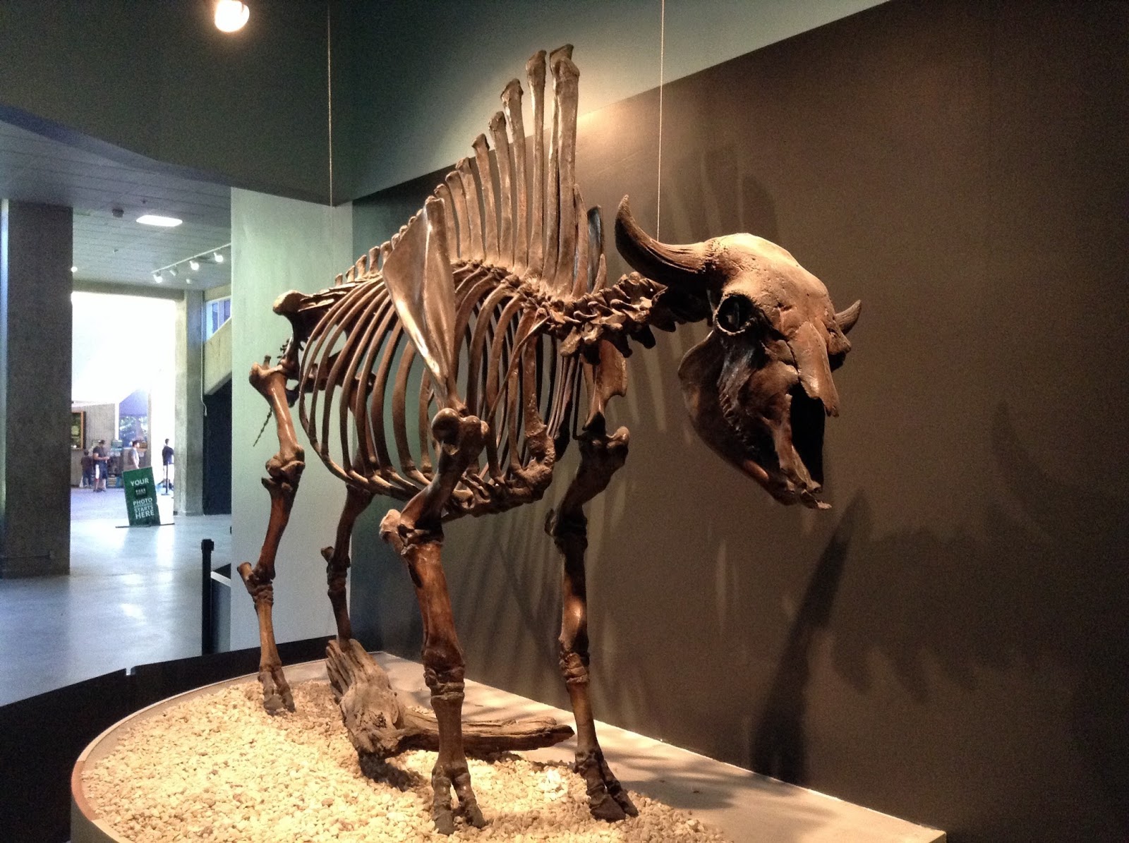 Fantasmas del pasado. El Rancho La Brea.