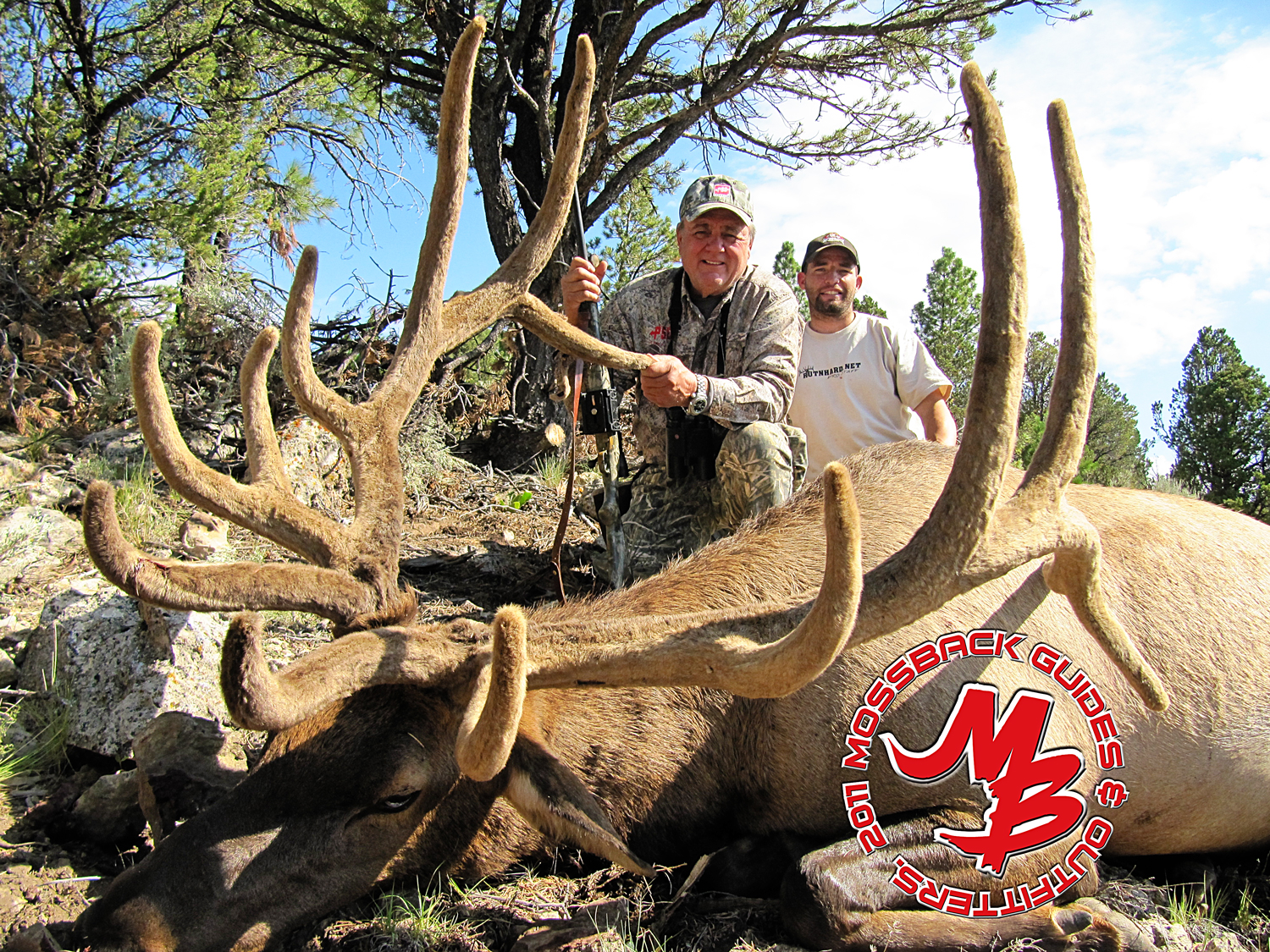 A3 Trophy Hunts LLC : Another GIANT AZ Bull!! Congrats to Pete Shepley!!