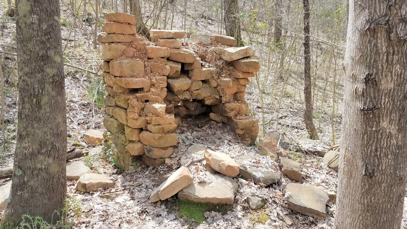 Then & Now Movie Locations: The Evil Dead (1981)