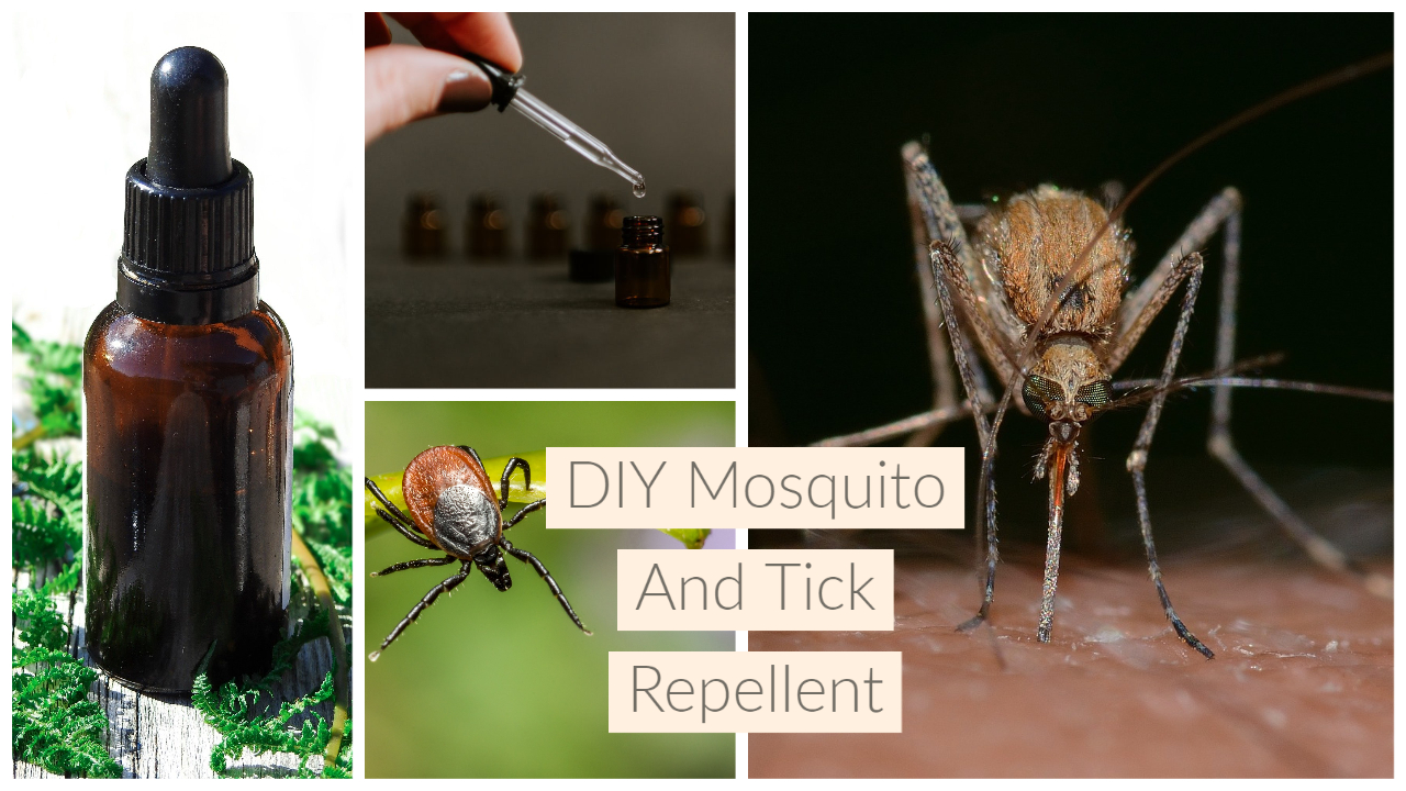 DIY Natural Homemade Mosquito And Tick Repellent Spray ~ Triwiwer