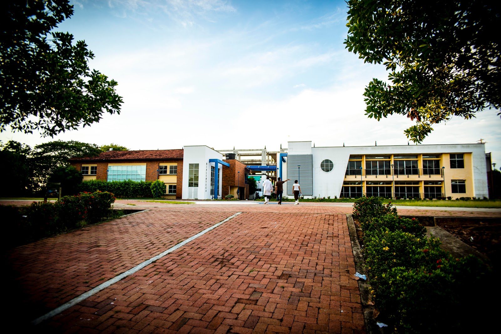 Nuevo Programa en Ingeniería Informatica