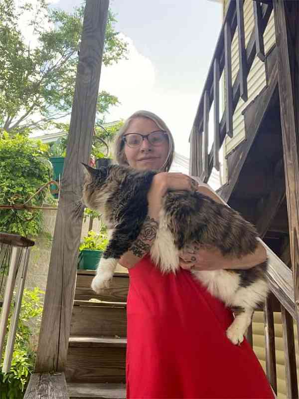 20 Incredible Photos Of Big-Sized Cats That Might Surprise You How Big ...