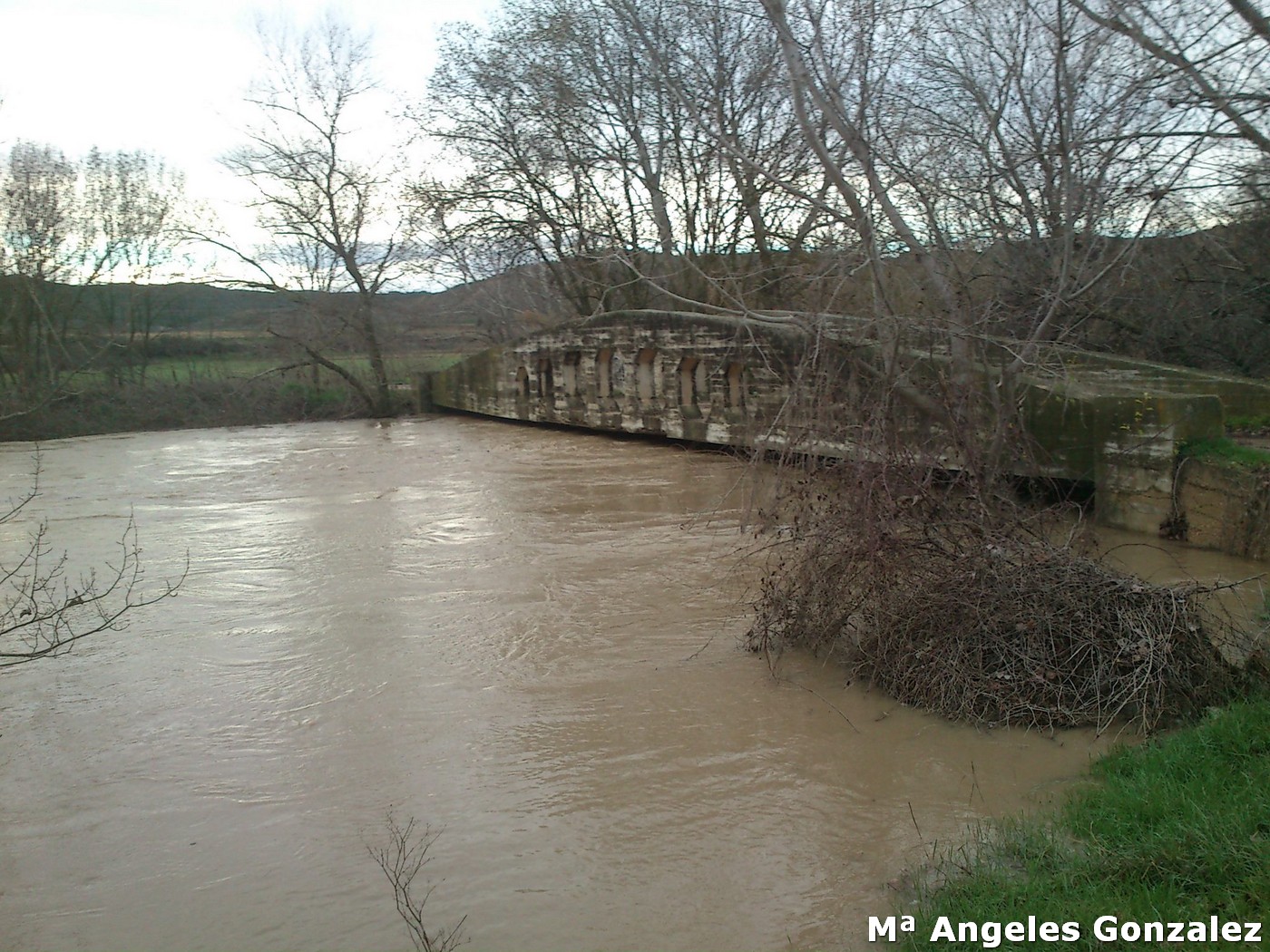 El blog del Balcon de la Ribera: SUBIDA DEL RIO EGA A SU PASO POR LERÍN.