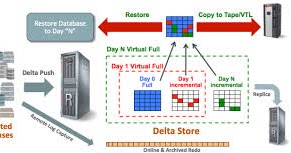 ZDLRA - How to do a storage checkup