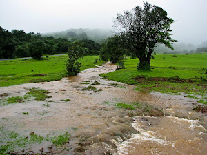 Picnic farmar house near in chiplun- Guhagar- Konkan side