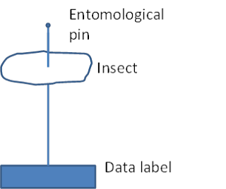 5 Specimen Preservation Techniques - Life and Agri