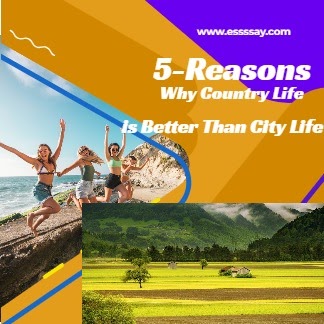 3 Reasons Why Country Life is Better Than City Life
