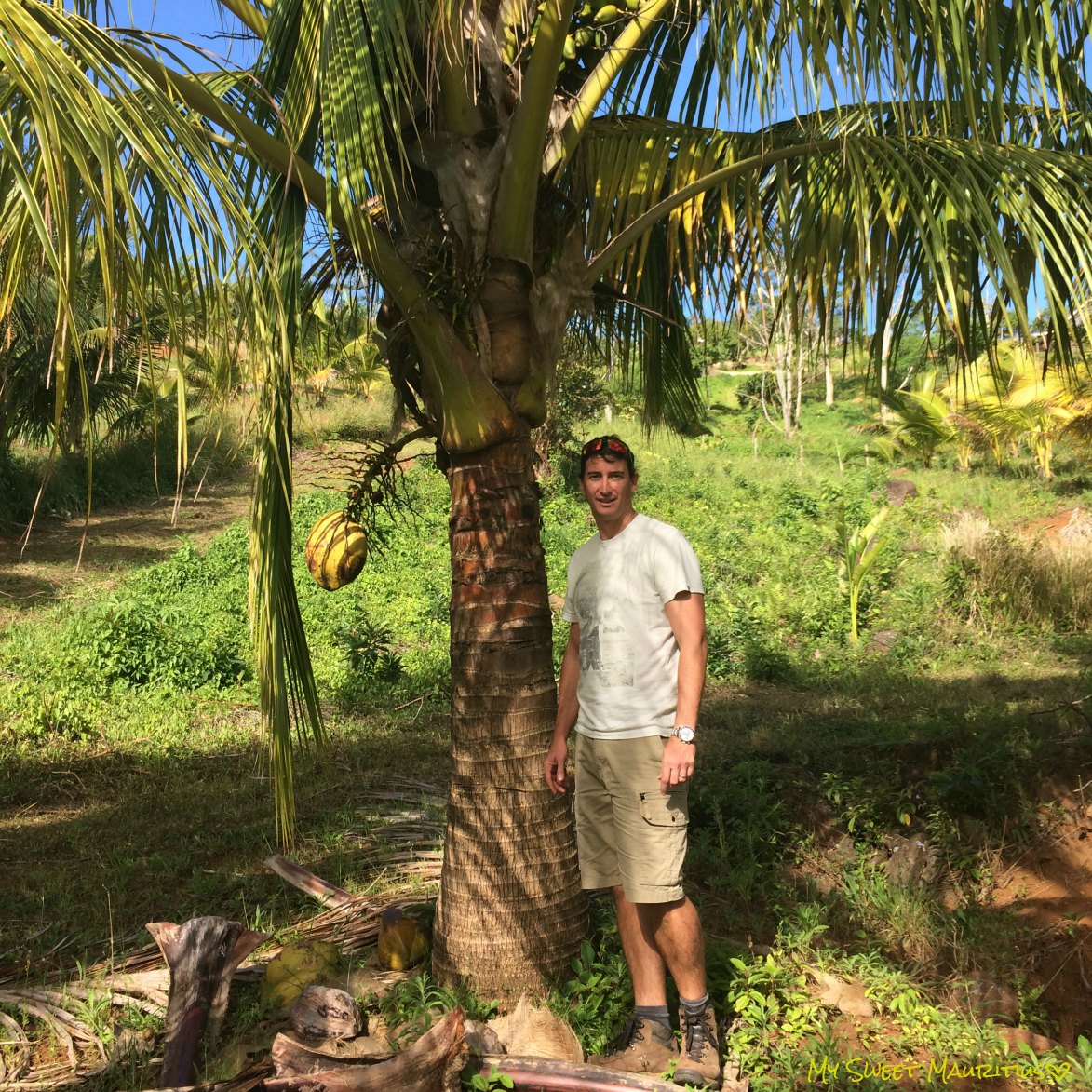 My Sweet Mauritius: LES ACHARDS DE CHARAMEL