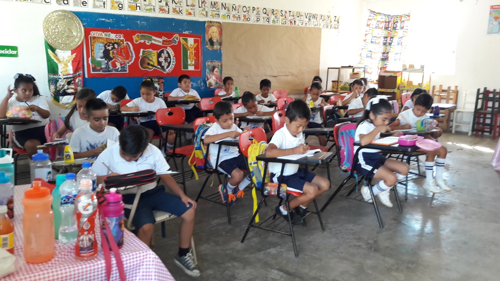 El rol del docente en la Escuela Primaria Multigrado: Alumnos