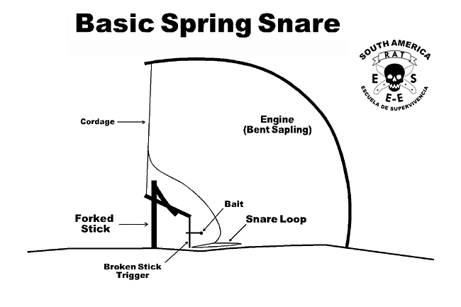 Geared² Survive: Basic Spring Snare