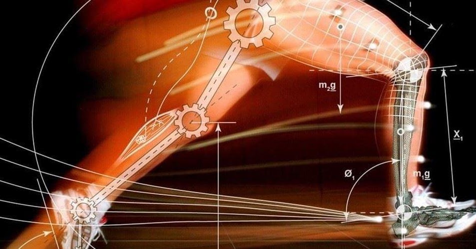 COMPENDIO DE DE BIOFÍSICA : 1. PRINCIPIOS DE LA BIOFÍSICA