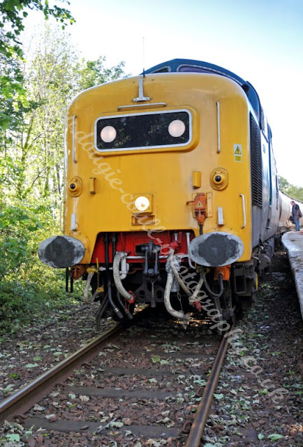 Dougie Coull Photography: Deltic Diesel Locomotive 55022 - Class 55 at ...