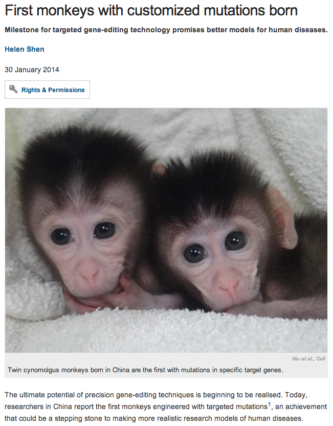 Sentient Developments: Bioengineered monkeys with human genetic ...