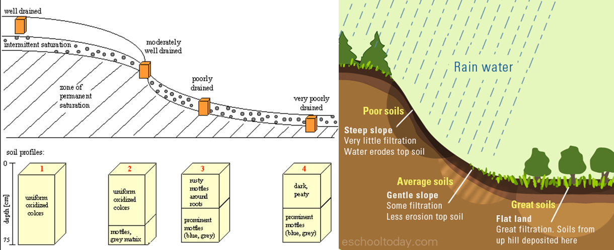 Soil Mates: SOIL, how it is formed?