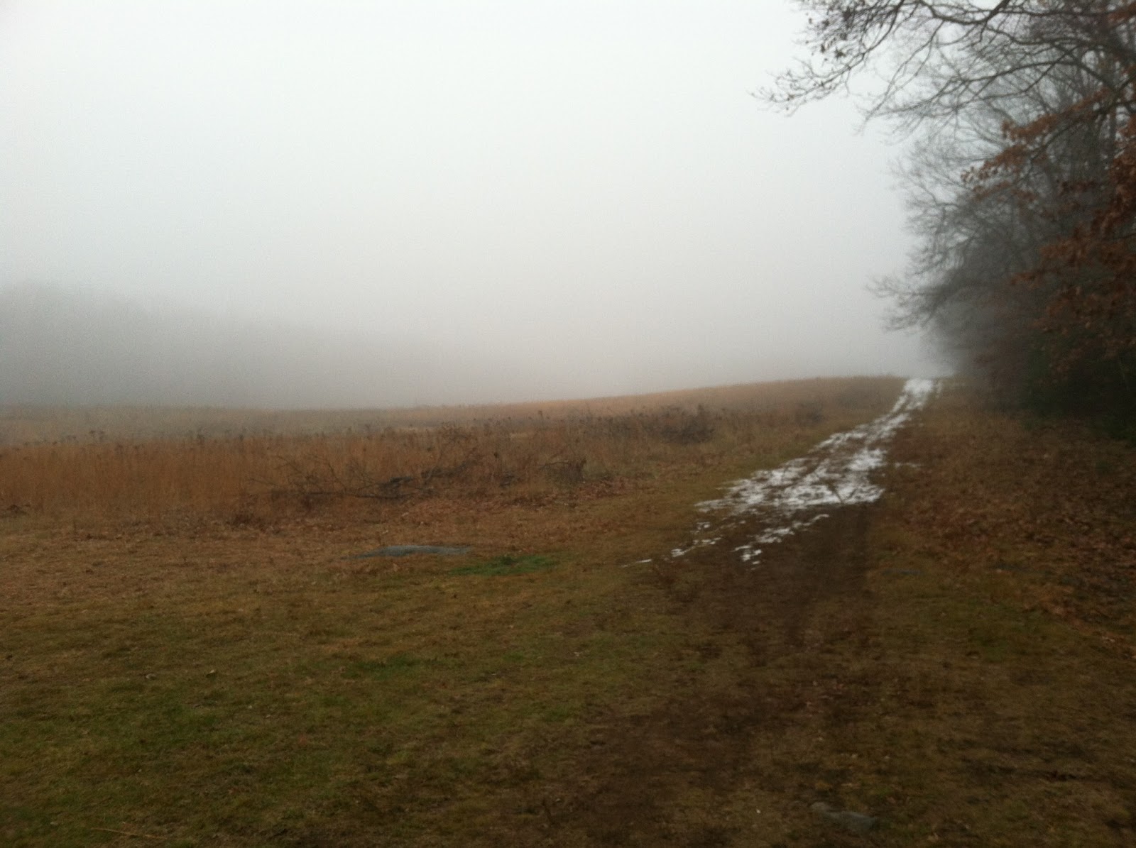 Wilbraham's White Cedar Swamp: Three Seasons of Fun in the White Cedar ...
