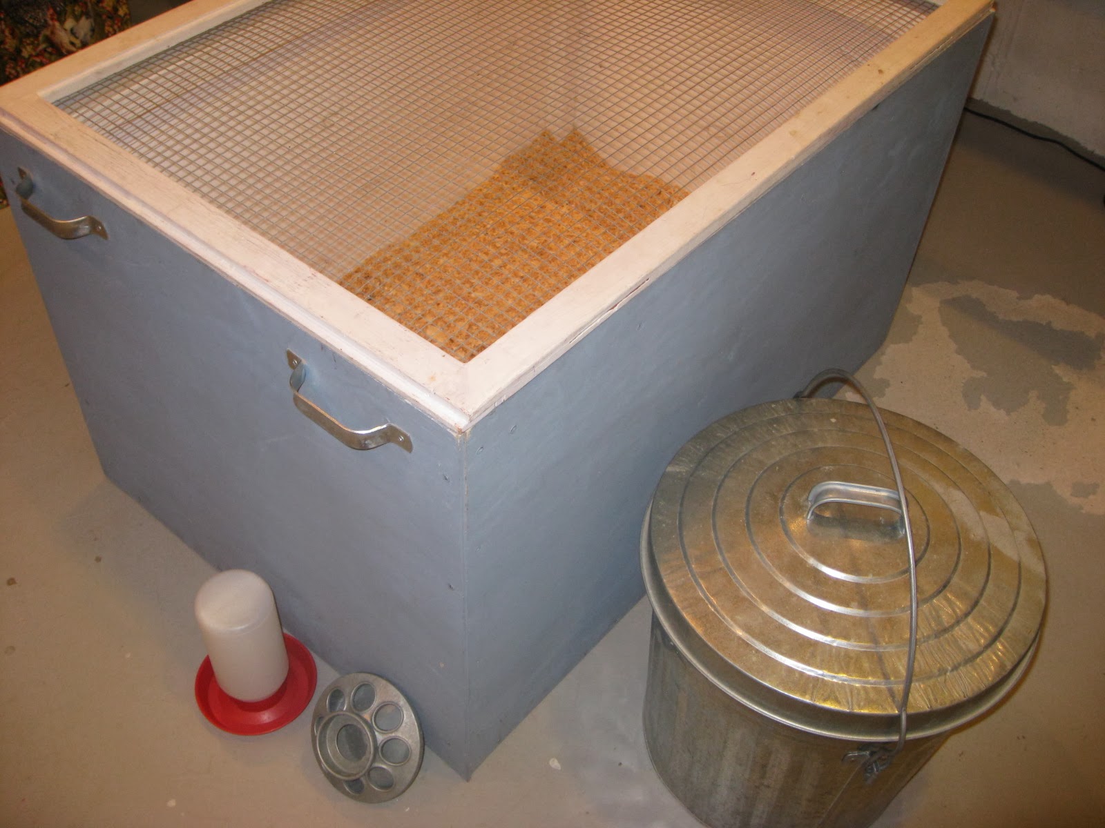 Red Bucket Farm: Collapsible Brooder Box